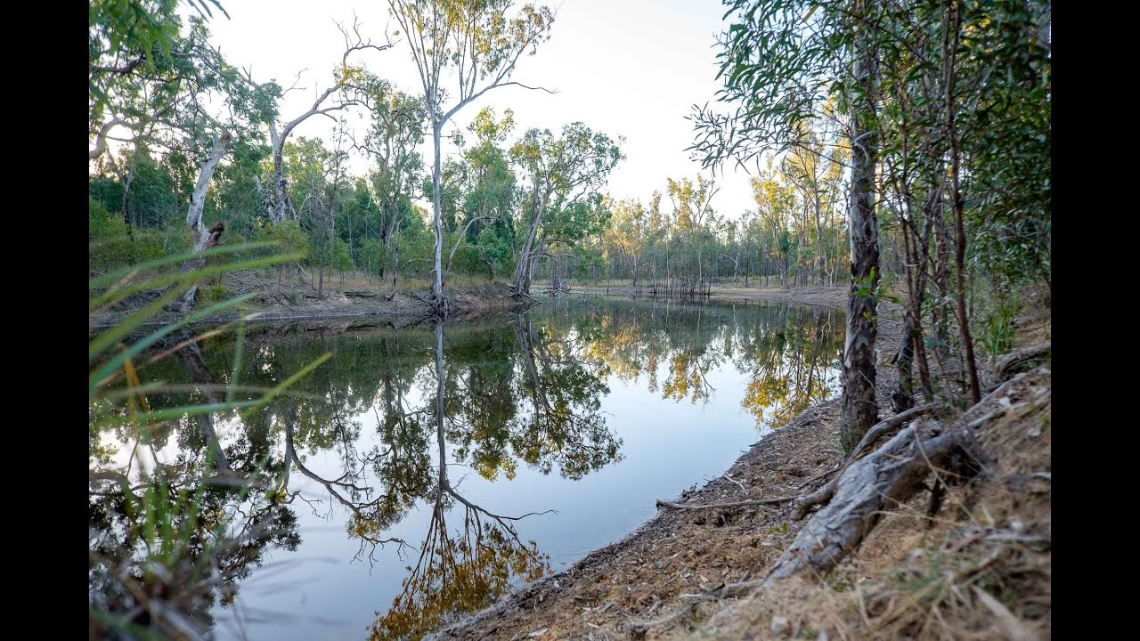 Barakula State Forest Camping Adventure - YouTube