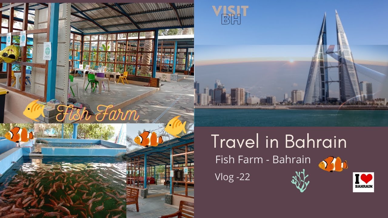 Fish Farm Bahrain | Bahrain - YouTube