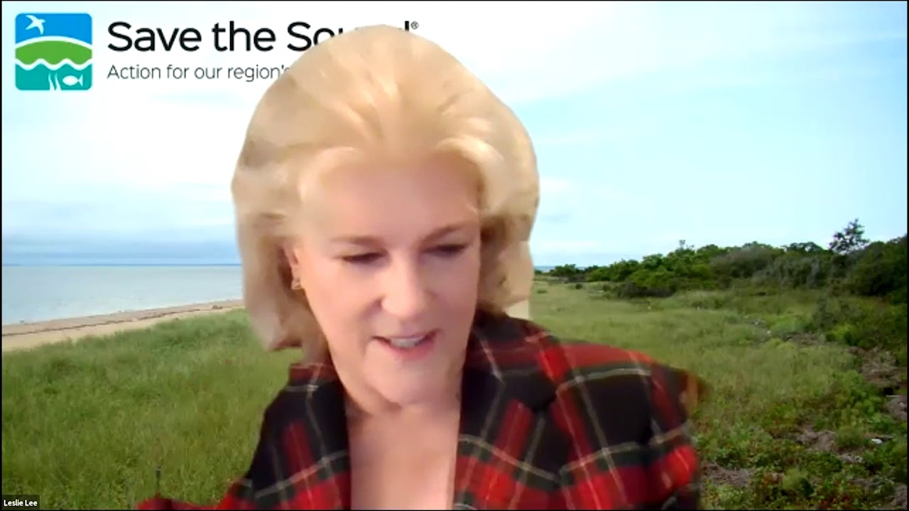 Save the Sound 2020 Annual Meeting - YouTube