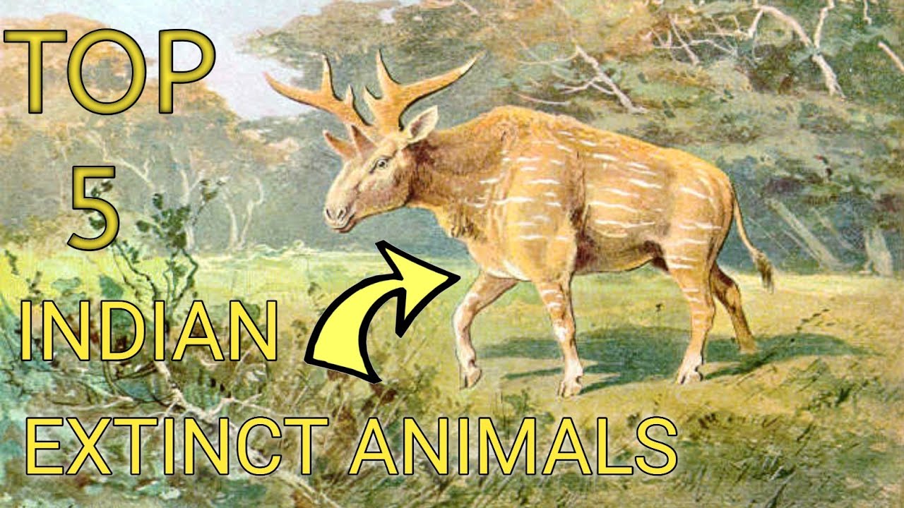 Top 5 Extinct Animals Of India In Hindi - YouTube