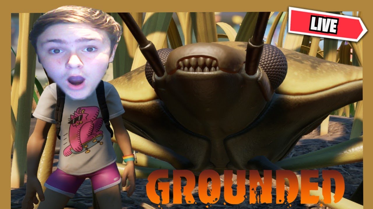 Grounded Live With Viewers | Grounded Crossplay Server W Viewers - YouTube