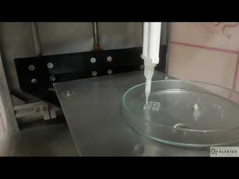 Dual Barrel Syringe Printing on ANGA 3D Bio-printer