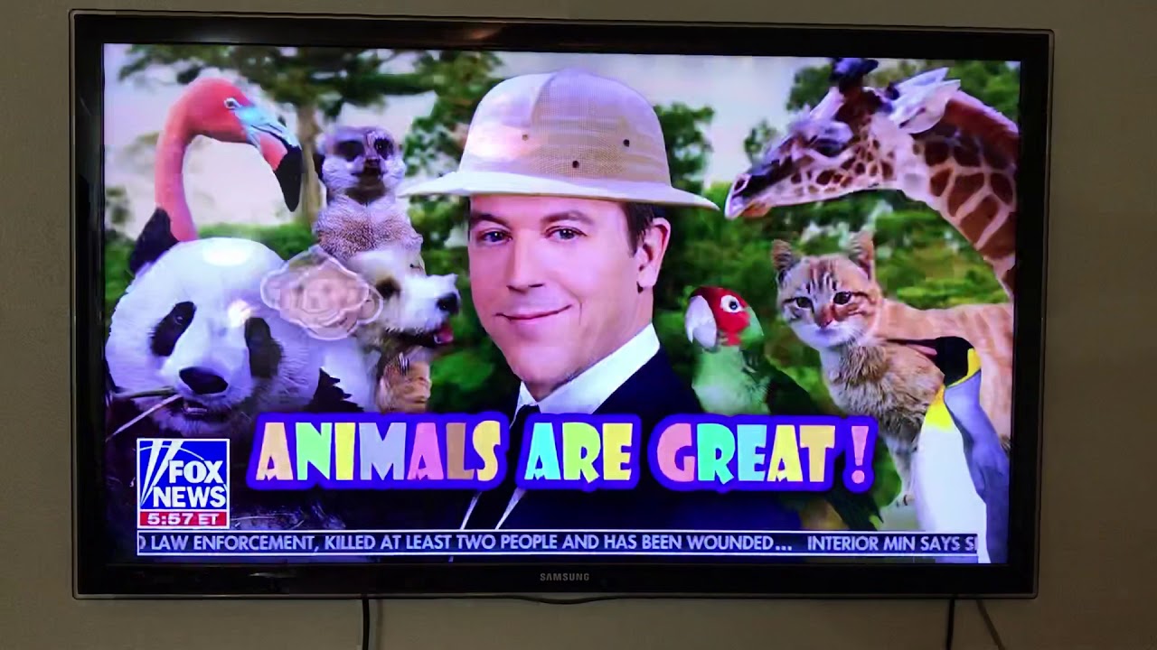 Animals Are Great- Greg Gutfeld - YouTube