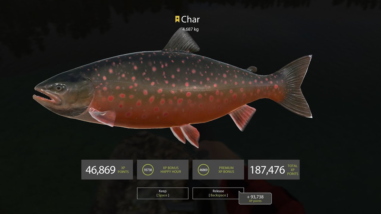 Russian Fishing 4, Ladoga, Red Char , Gray Char, Char Guide - YouTube