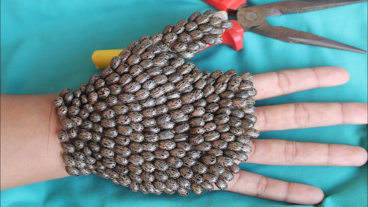 We Help Remove Big Ticks On Palm Man With Pliers That Worked 100% #1067 ...