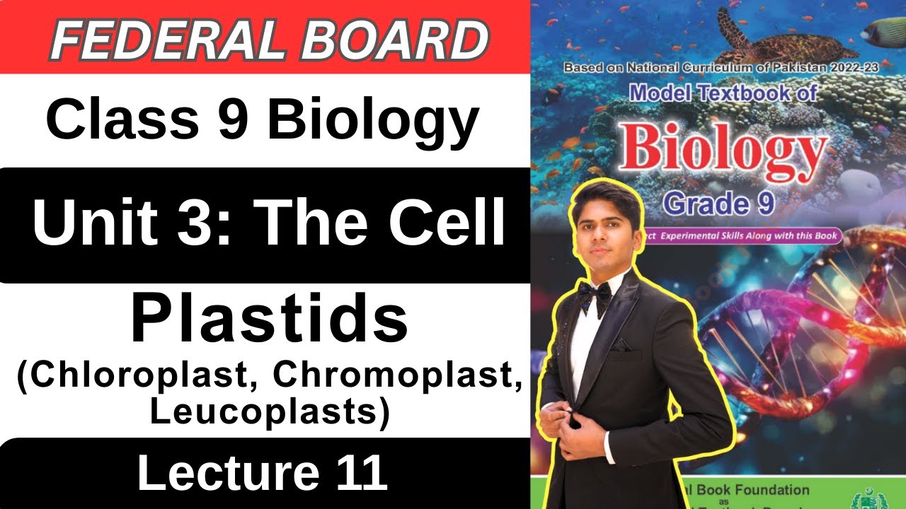 Chapter 3 The Cell | Chloroplast, Chromoplast & Leucoplasts | Class 9 ...