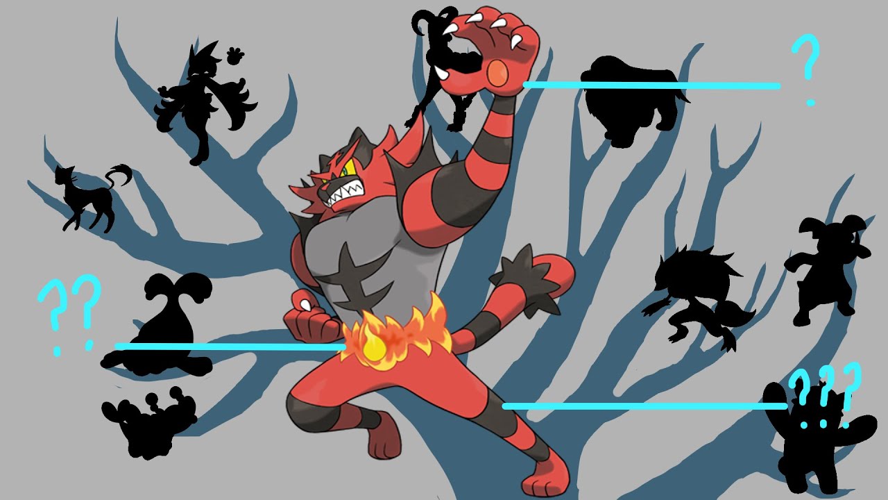 Pokemon Ecology - Cats and Dogs on the Tree of Evolution - YouTube