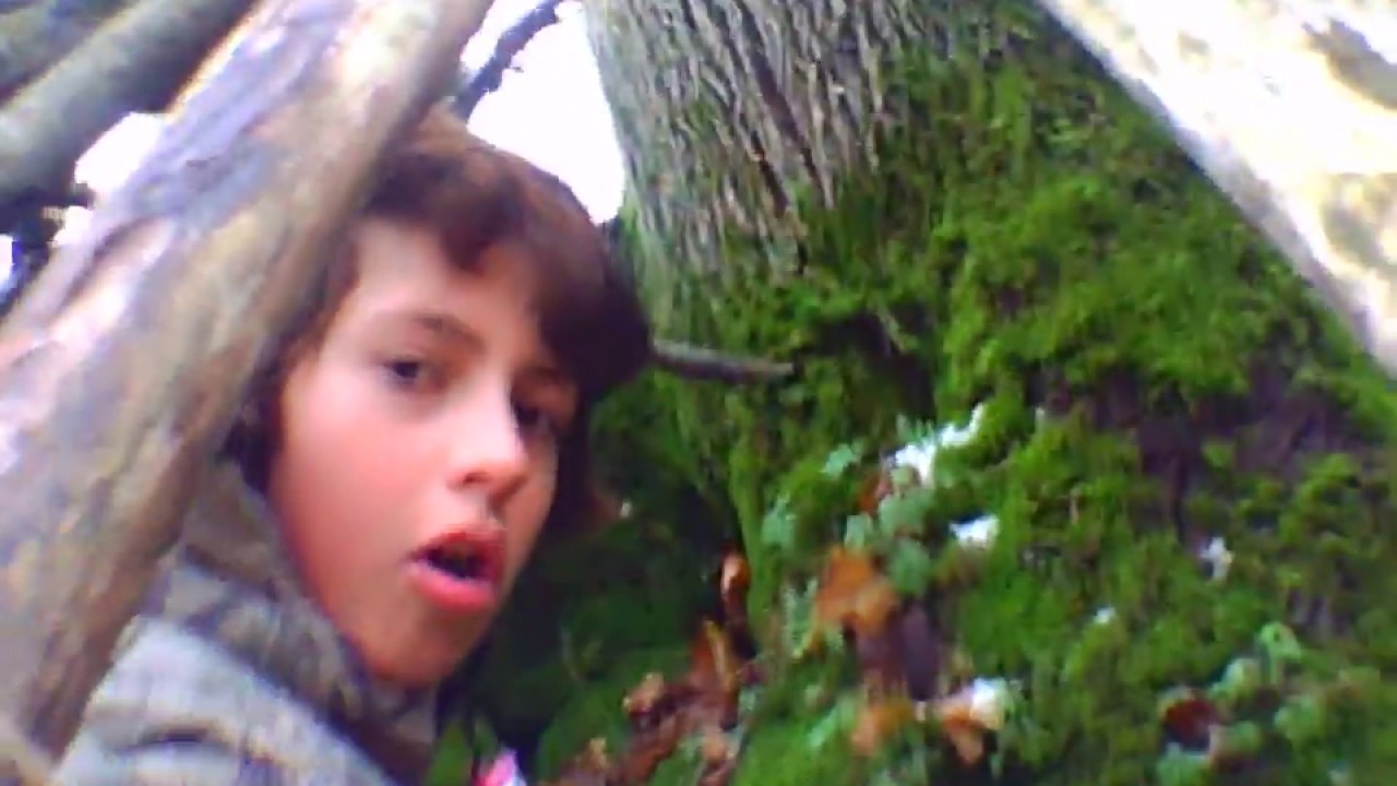Building a stick fort - YouTube