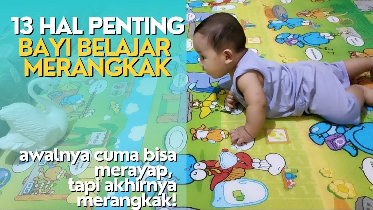 PENTING! HAL INI HARUS DIPERHATIKAN SAAT BAYI BELAJAR MERANGKAK ...