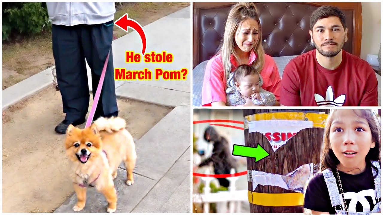 WE BELIEVE SOMEONE STOLE OUR PUPPY MARCH POM!! *Part 2* - YouTube