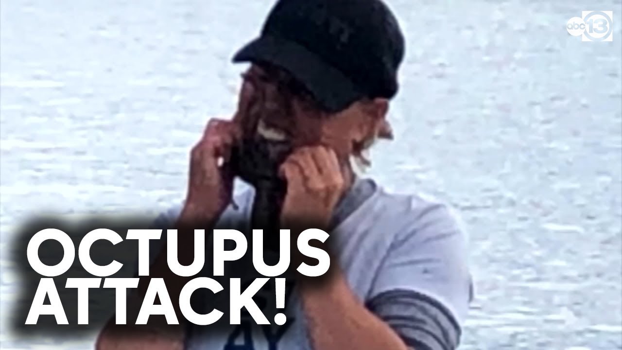 Octopus attacks woman in face while posing for photo - YouTube