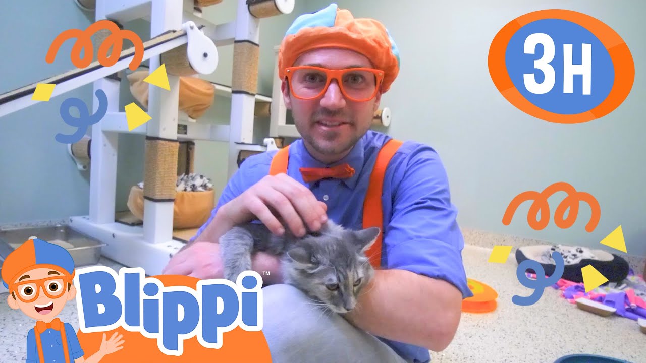 Blippi LOVES animals | BLIPPI | Kids TV Shows | Cartoons For Kids | Fun ...