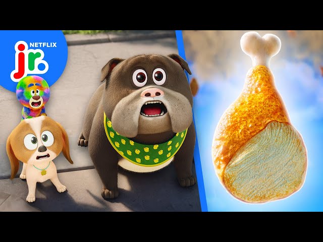 Turkey on the RUN! 🦃 Dog Days Out | Netflix Jr - Videos For Kids