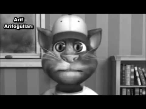 Konuşan Tom fındık  otobüs yolculuğu