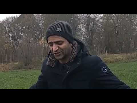 felek bavé késî nîné