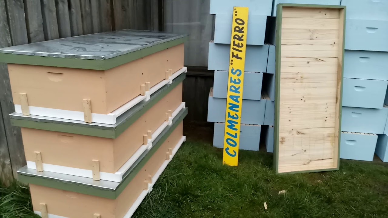 COLMENAS ESPECIALES. Srta Solange Morales. Río Negro Hornopirén. - YouTube