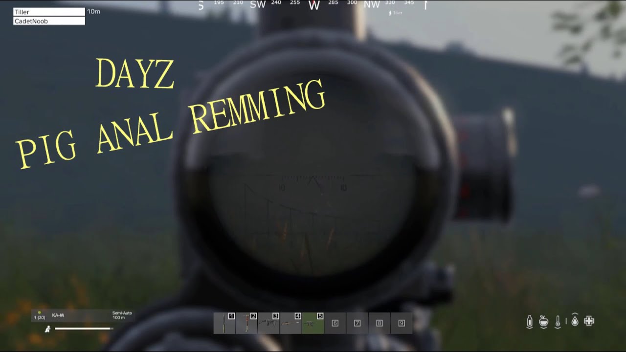 DayZ Nature Documentary : The Wild Zombie And Pig Mating Ritual - YouTube