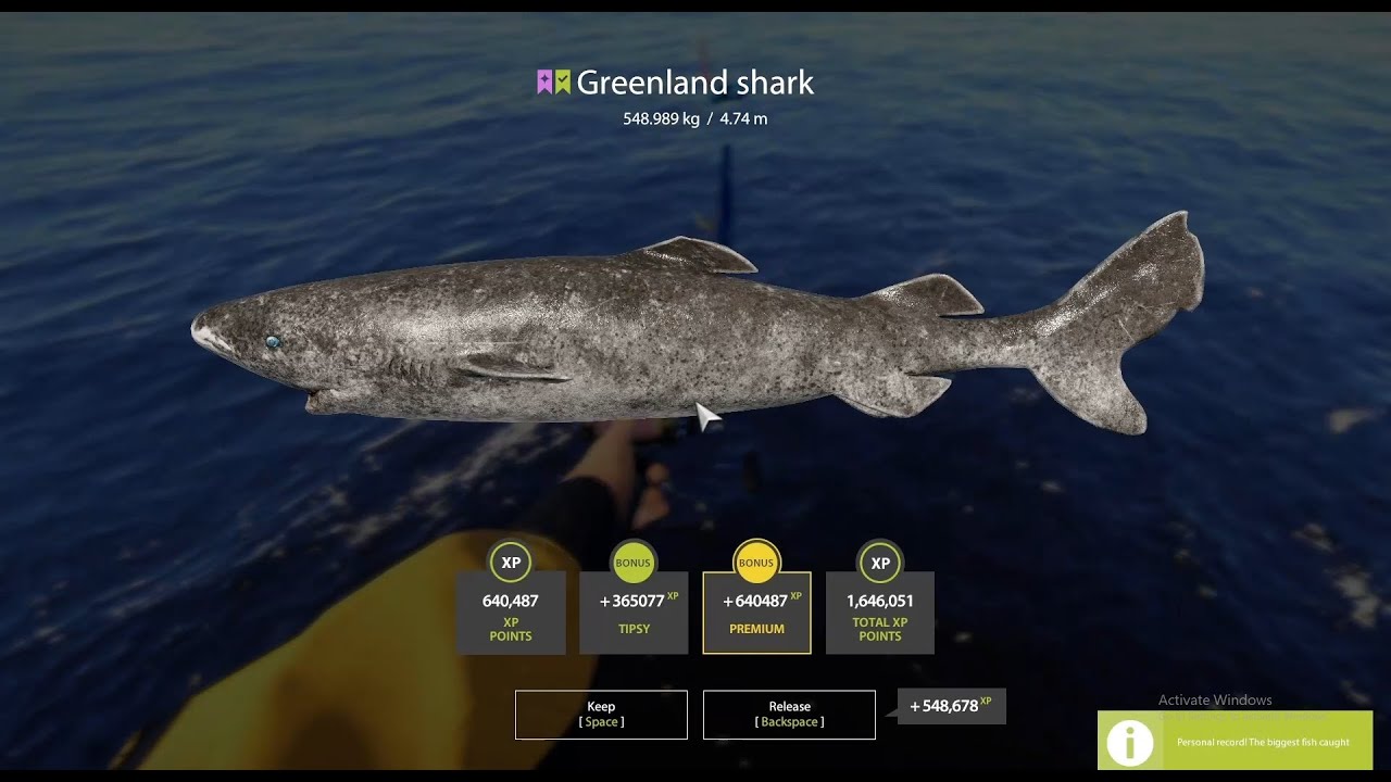 Russian fishing 4~ Rf4-548.989KG Greenland Shark - YouTube