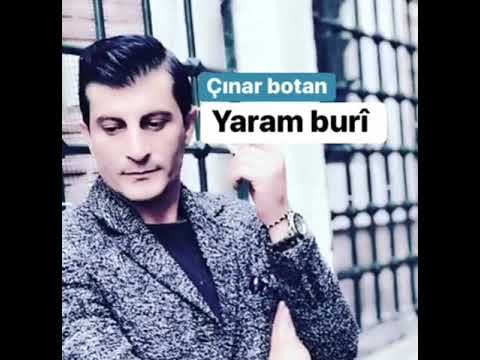 Çinar botan yaram burî söz müzik Çınar botan
