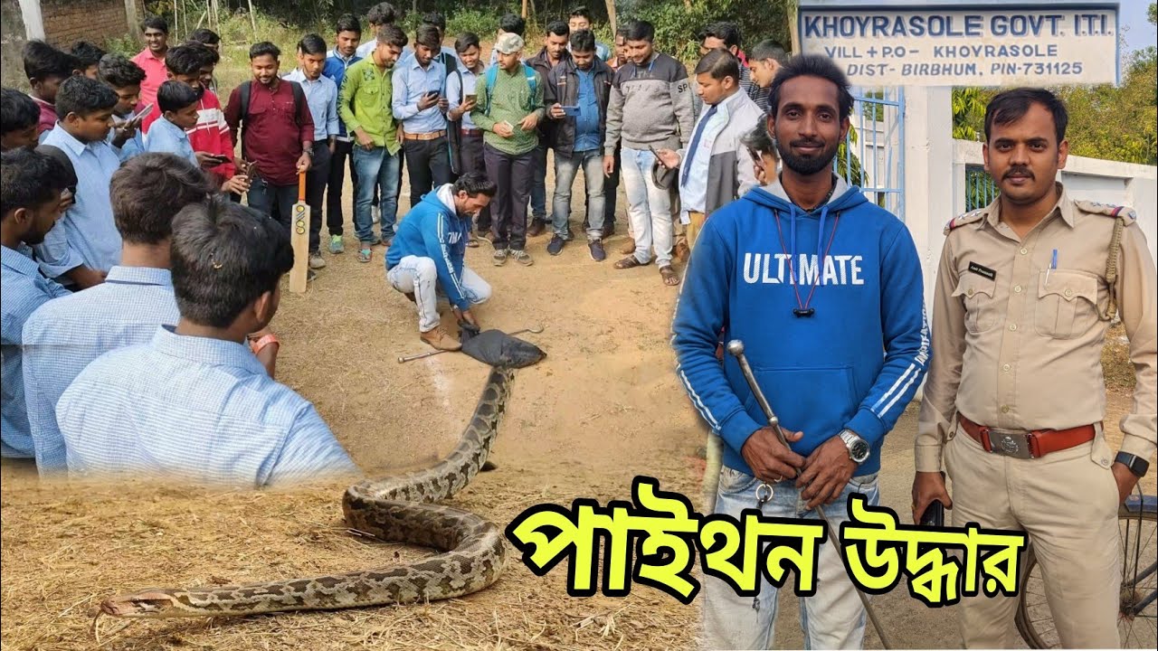 Govt ITI কলেজ থেকে বিশাল পাইথন উদ্ধার | Indian rock python rescue | snake saver boy | viral news ...