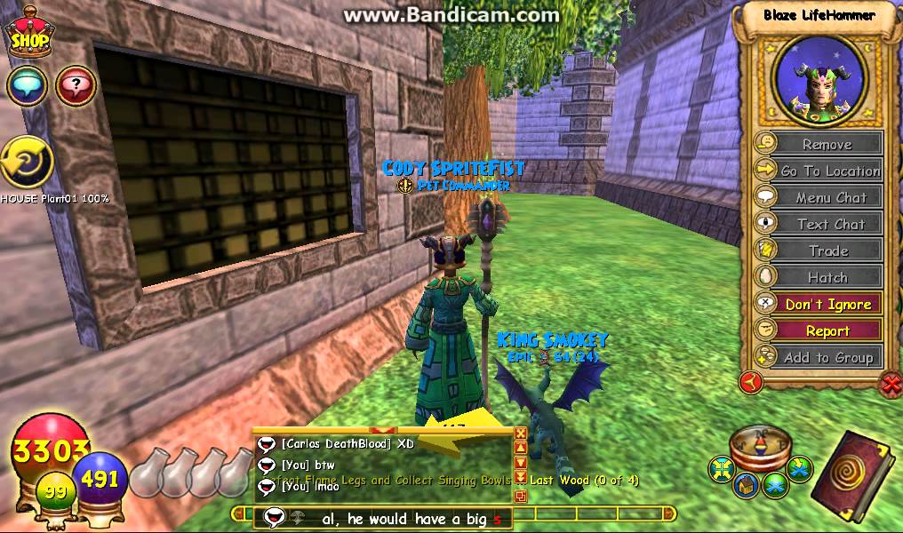 wizard101 fake Blaze Lifehammer (expose) - YouTube