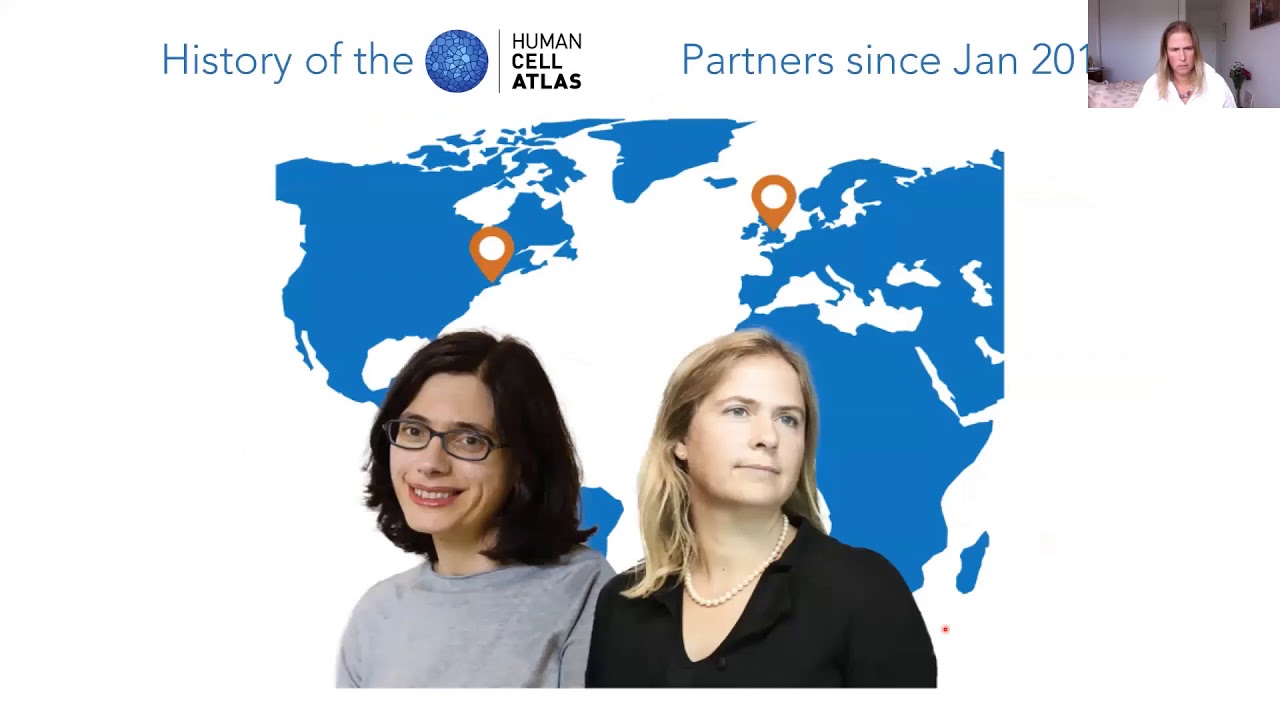 Human Cell Atlas: Mapping the human body once cell at a time - Sarah ...