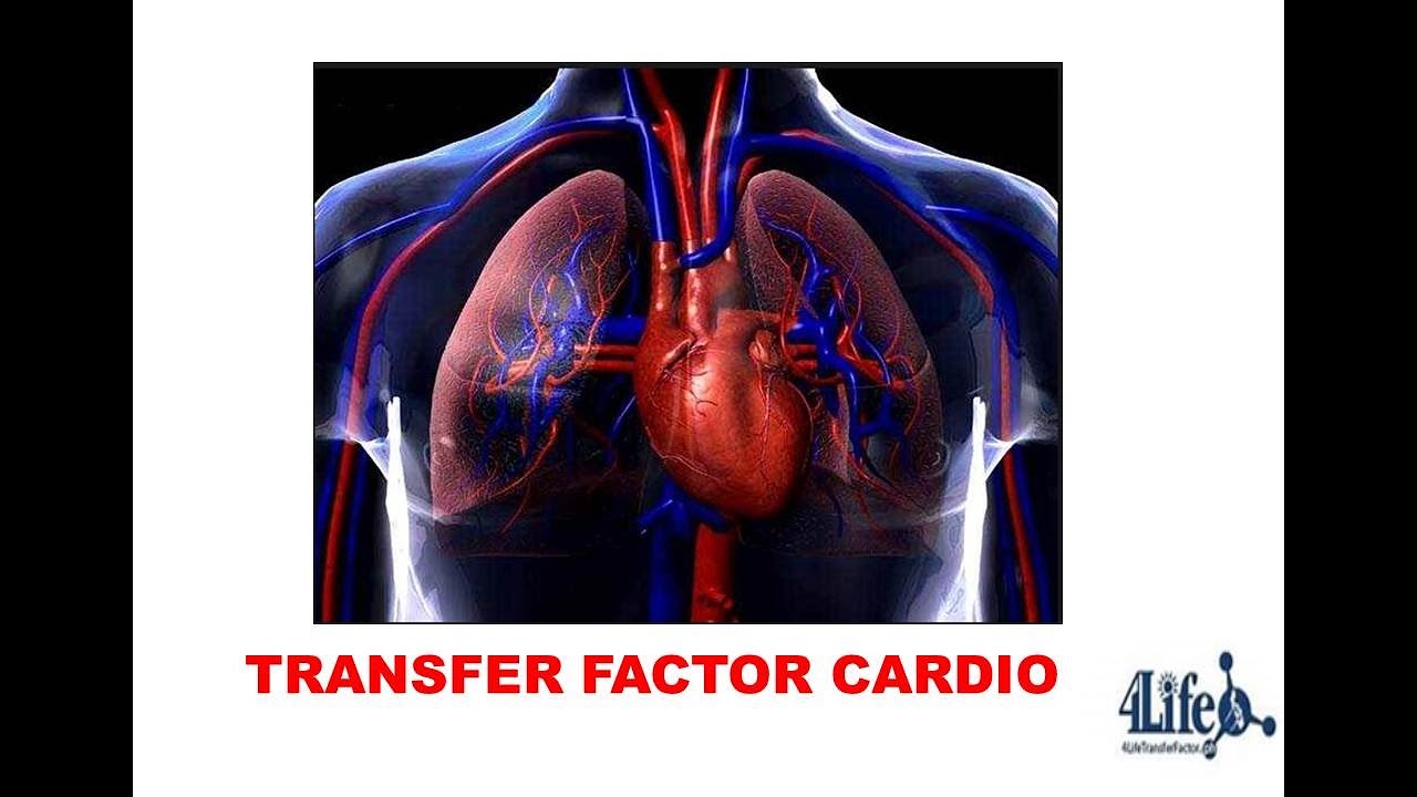 TRANSFER FACTOR CARDIO (BCV). YUSMILA BECERRA - YouTube