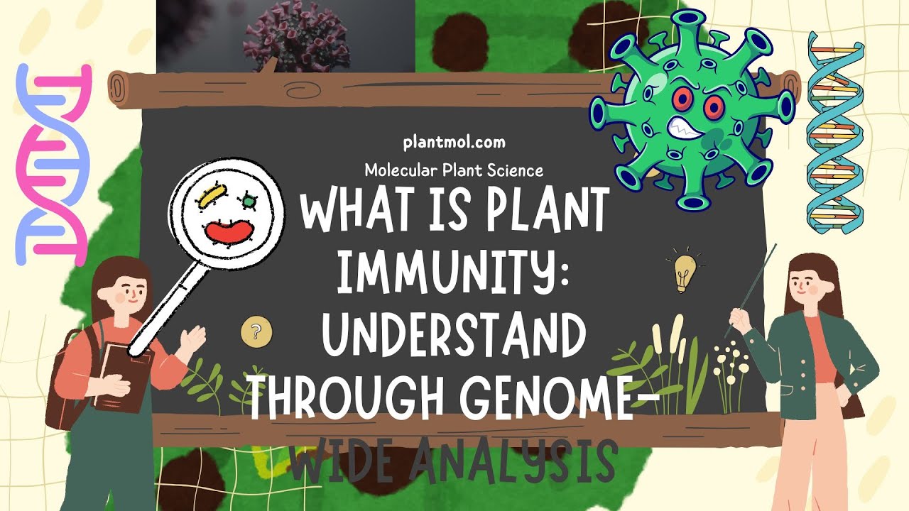 Plant Immunity Explained: Methods to Study Plant Defense Mechanisms ...