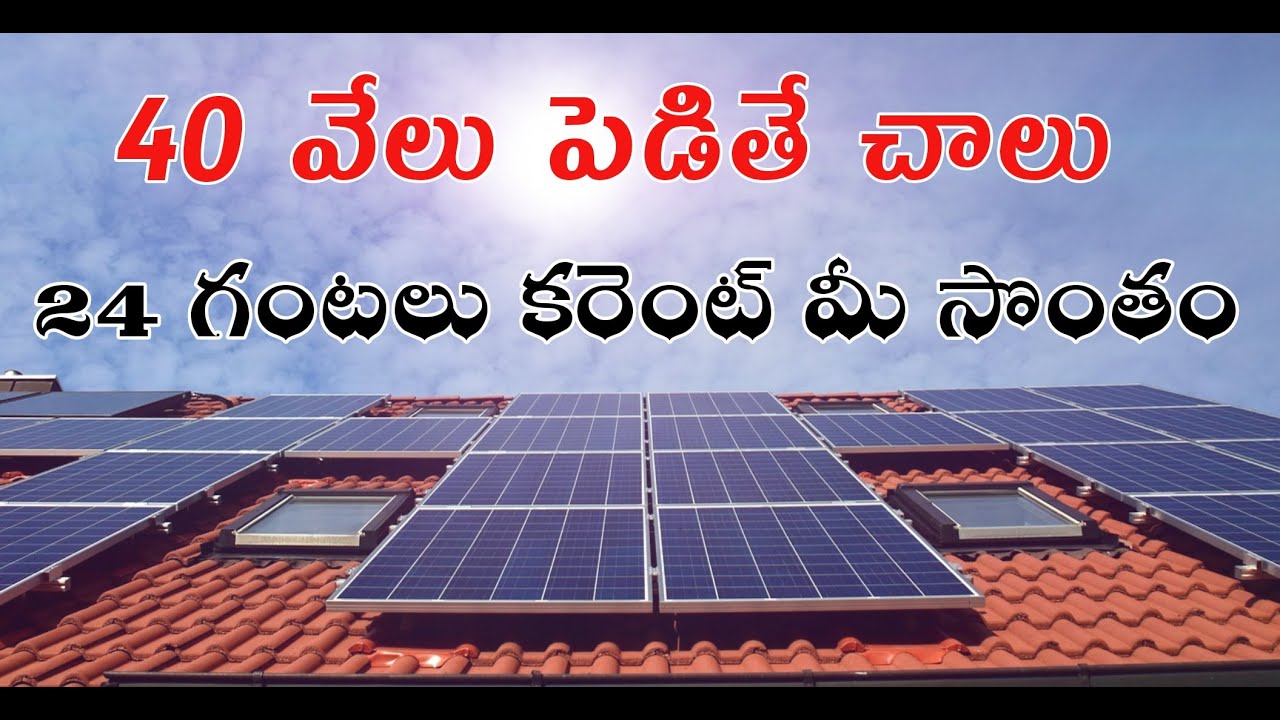 The Power of Budget Solar Plant \ Eastman Battery and Loom Solar Panel ...