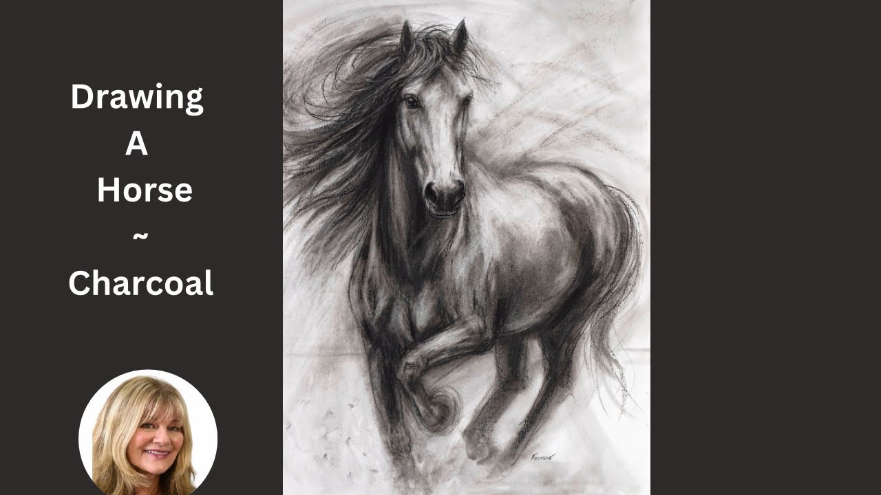 Drawing A Dynamic Horse In Charcoal - YouTube