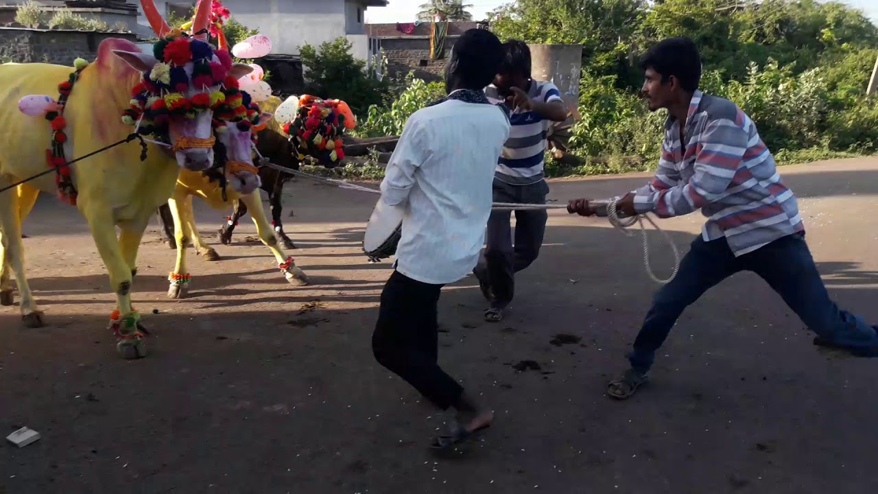 Pola celebration in hometown - YouTube