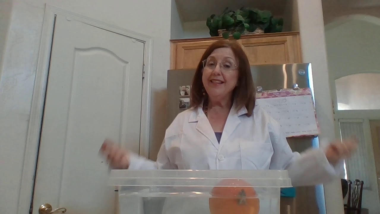 Do Pumpkins Float - YouTube