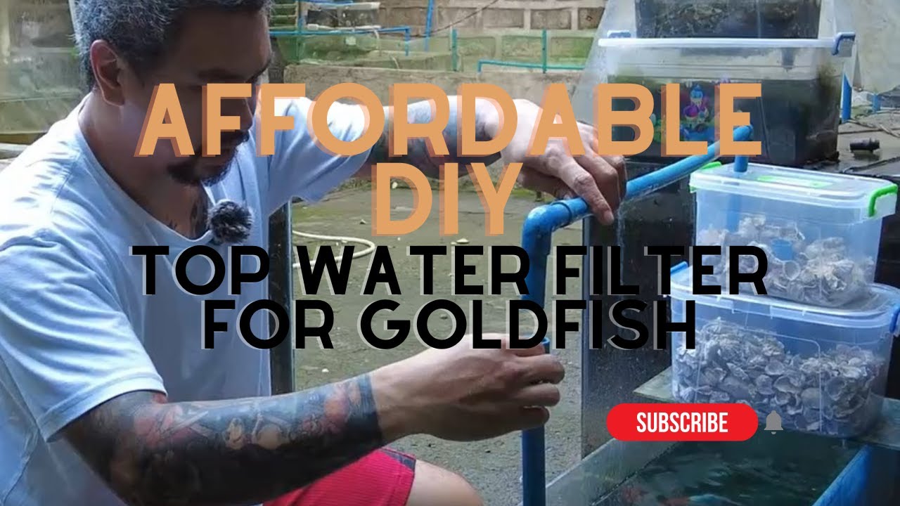 Affordable DIY Top Water Filter for Goldfish Keeping - YouTube