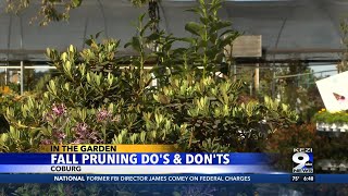 In the Garden: Fall Pruning Do’s and Don’ts