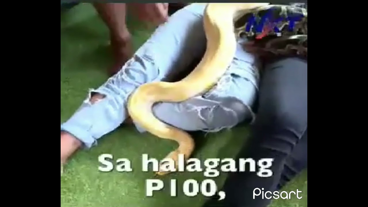 SNAKE MASSAGE #SHORT - YouTube