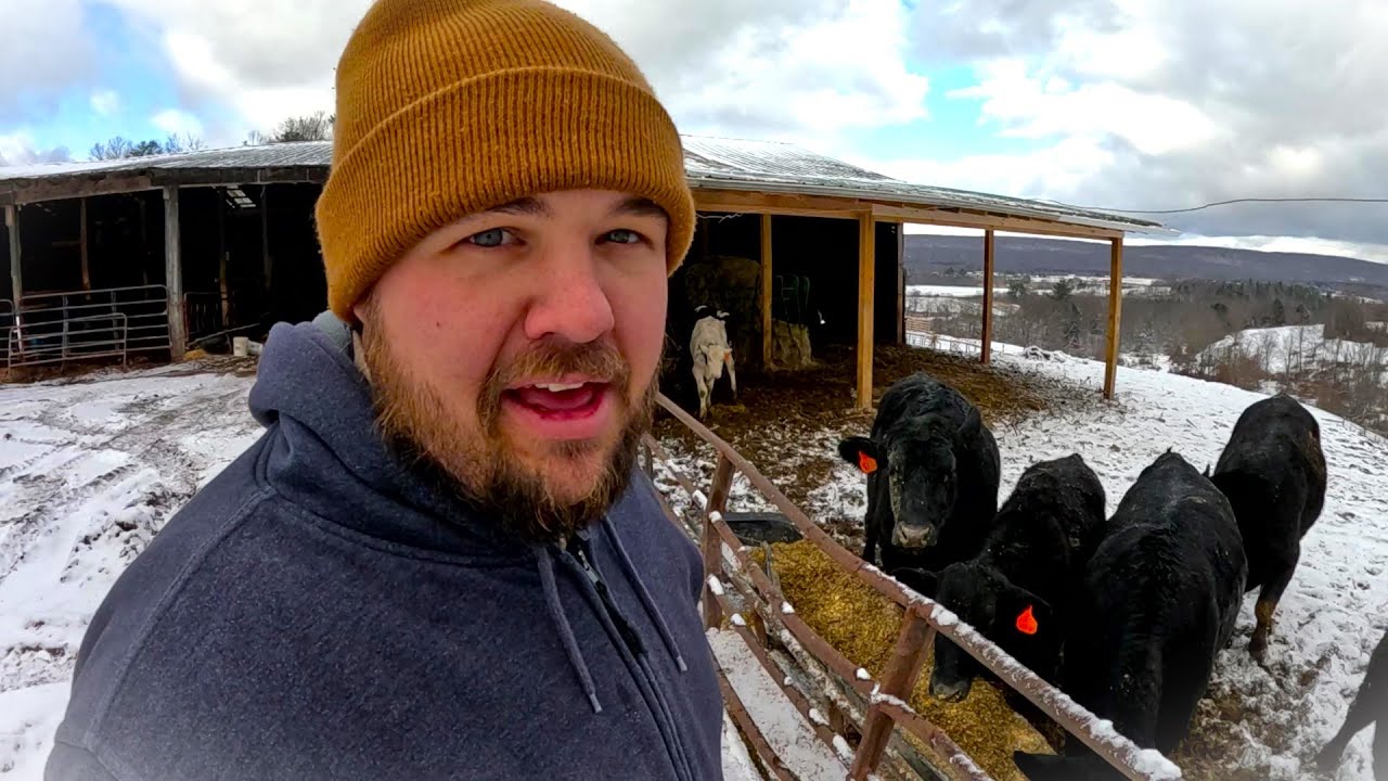 A VERY Different day on the Farm - YouTube