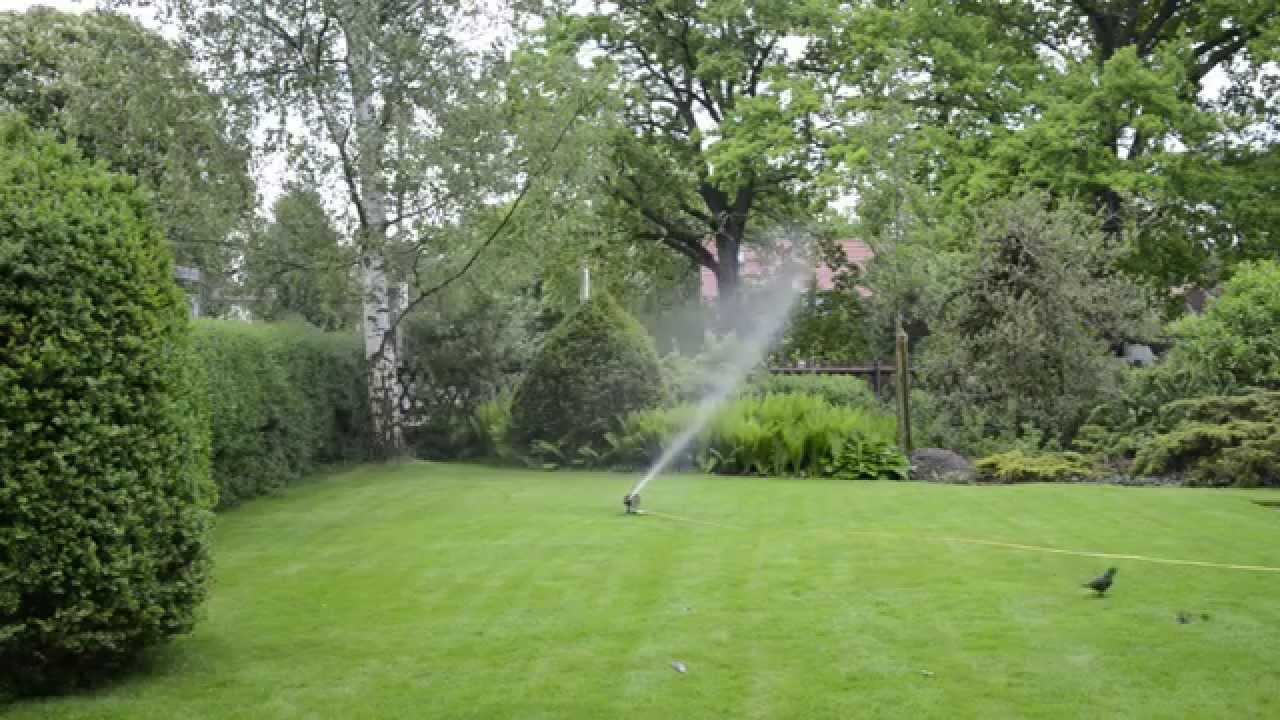 Double Rotary Sprinkler - YouTube
