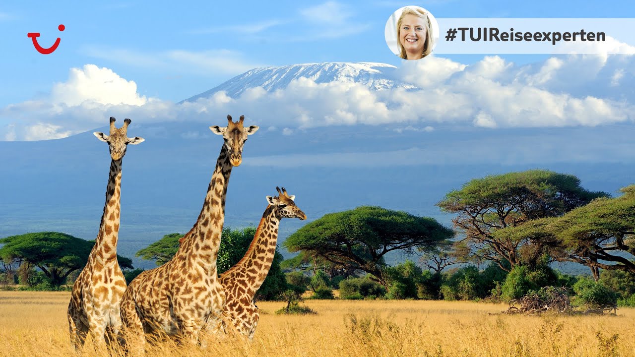 TUI Reiseexperten Tipps - Urlaub in Kenia - YouTube