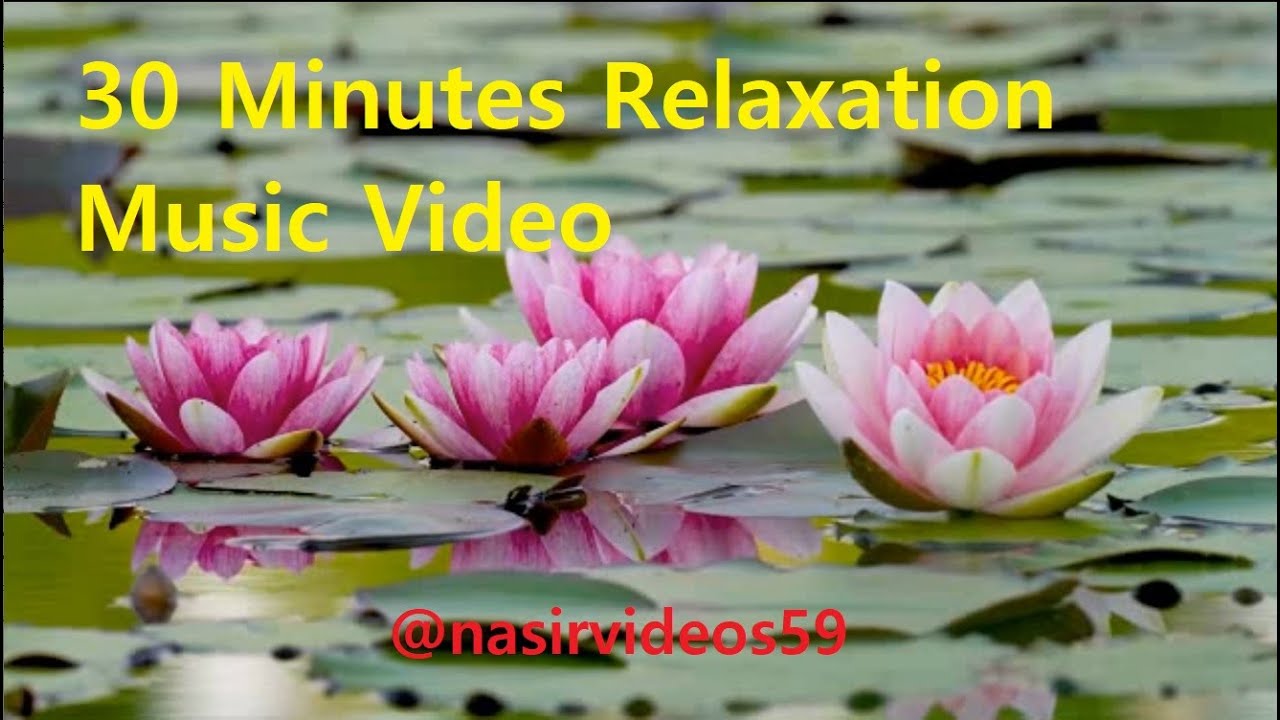 30 Minutes Relaxation Music Video for stress relief, Mind relaxing ...