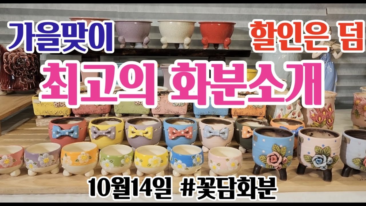 10월14일 가을맞이 최고의 화분소개 할인은 덤 꽃담다육스토리예쁜화분화분싸게파는곳다육식물多肉植物succulents다육이꽃담화분다육화분꽃담다육스토리화분