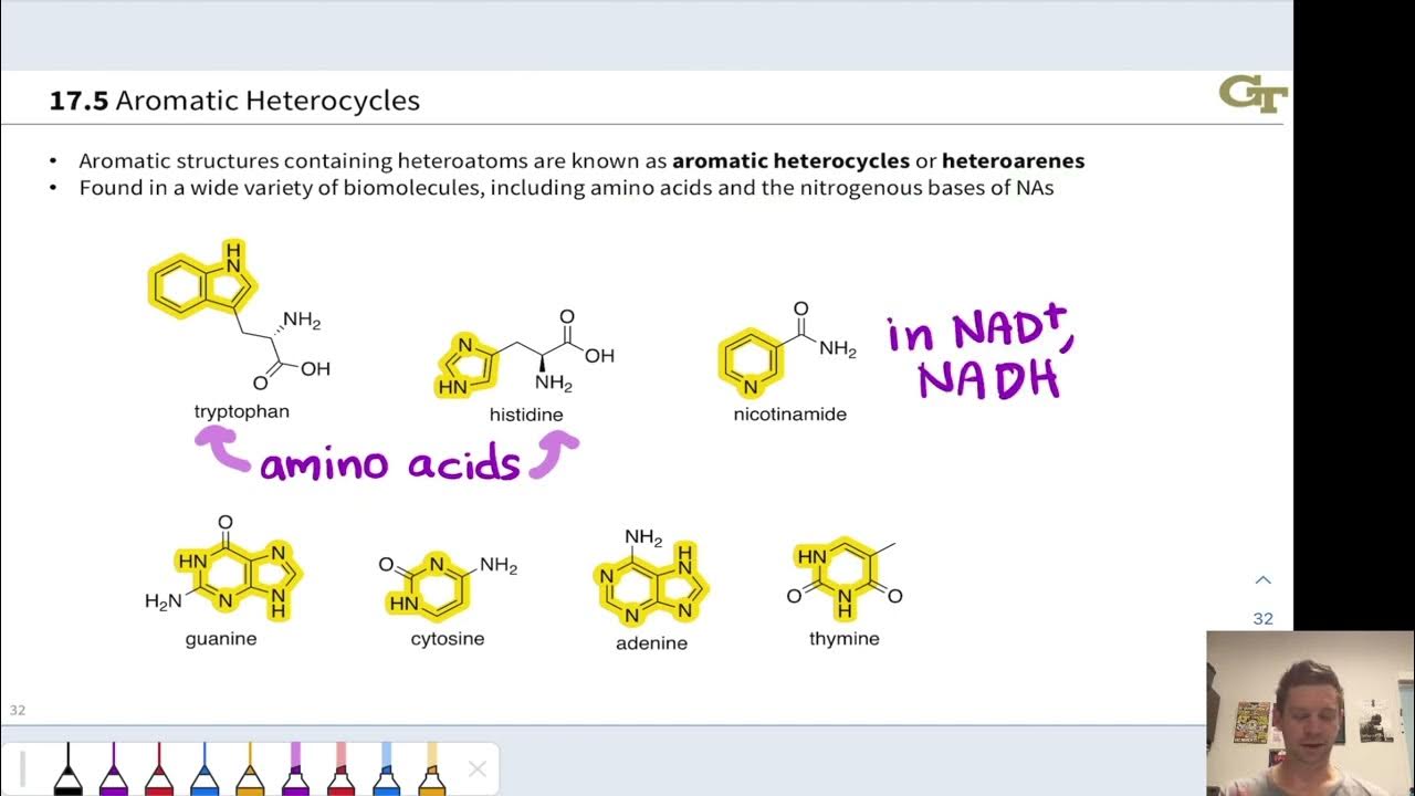 Annulenes, Polycyclic Aromatic Hydrocarbons, and Aromatic Heterocycles - YouTube