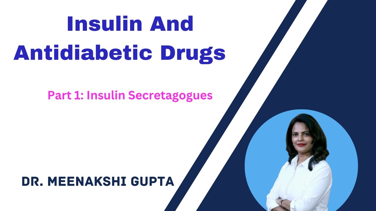 Insulin & Antidiabetic Drugs| Insulin secretagogues - YouTube