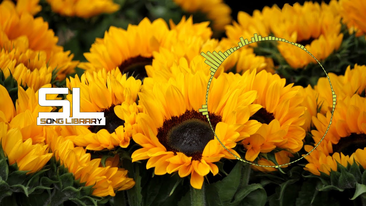 Side Path - Kevin MacLeod | No Copyright free Music - YouTube