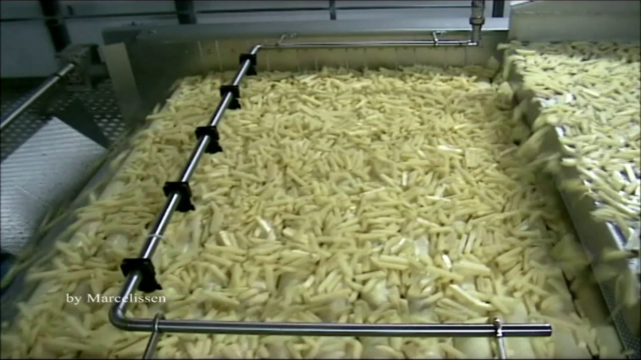 Sliver Remover for Potato & Vegetable processing | UK distributor Tong ...