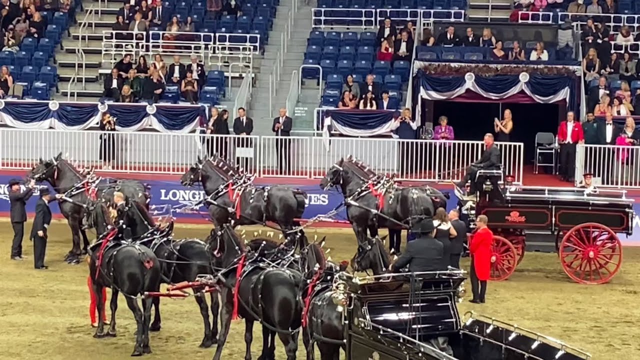 Percheron Six Horse Hitch Wagon The Royal Agricultural Winter Fair 2024 ...