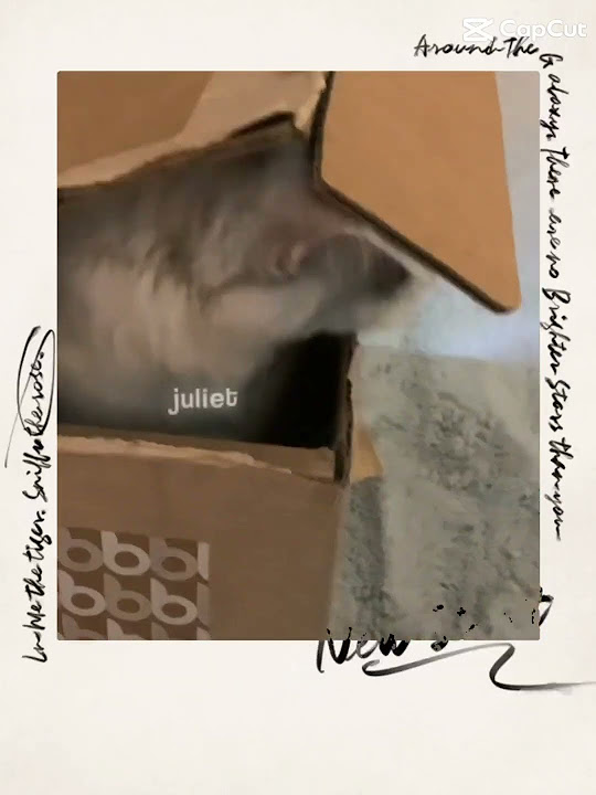 I would rather die than let you go - YouTube