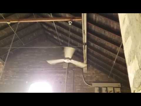 60" Dayton/Leading Edge Industrial Ceiling Fans (Feat. Jean Lemieux ...