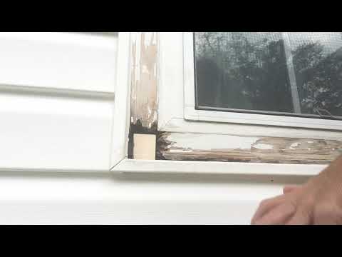 DIY Day 2 - Filling the hole with wood filler (Wood Rot) - YouTube