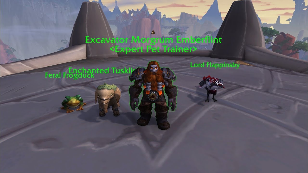 wow excavator morgrum emberflint pet battle strategy - YouTube