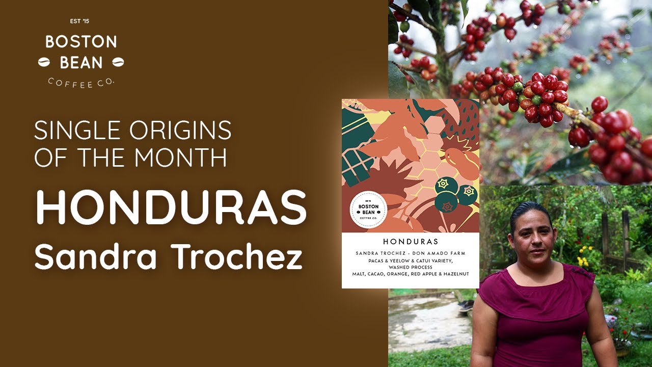 Try our SINGLE ORIGIN of the month - Honduras Sandra Trochez - YouTube
